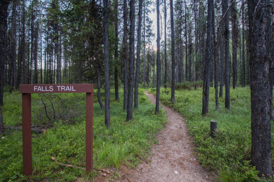 An unexpected adventure at Conkle Lake Provincial Park