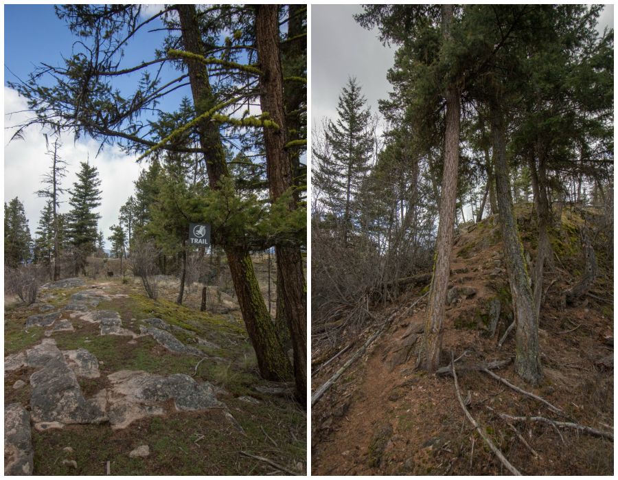 Predator Ridge's lakeview hike that you don't want to miss