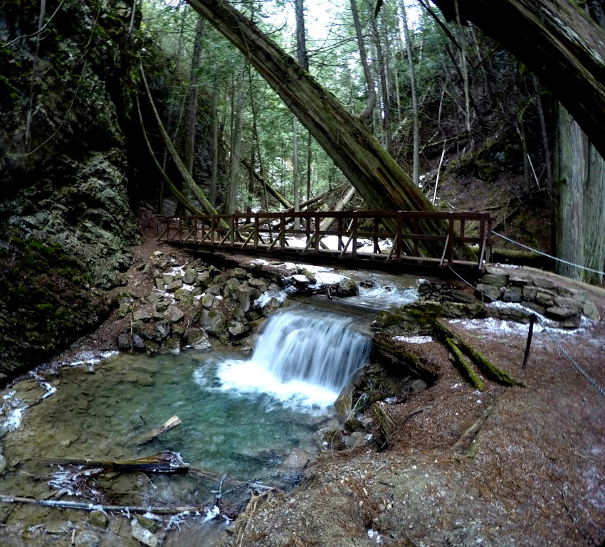 The Enchanting Trail to Margaret Falls