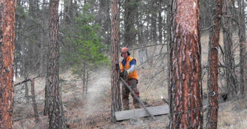 BCWS firefighters training in Lake Country this spring