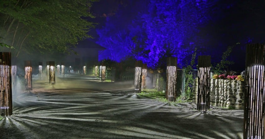 Whistler's magical lit up forest walk opens next week
