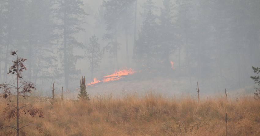 Majority of RDCO parks are closed due to wildfires