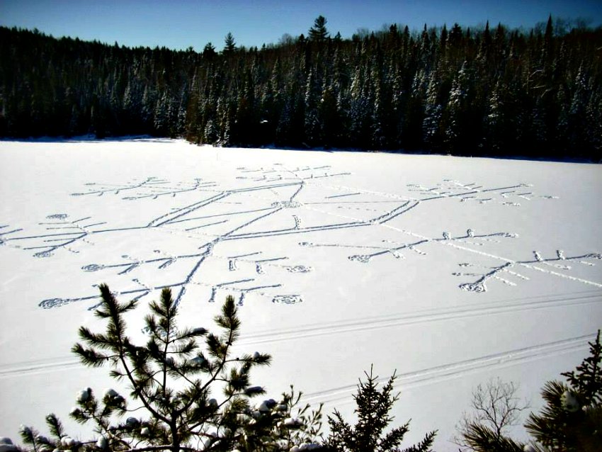 Snow Tags Are the Canadian Version of Crop Circles