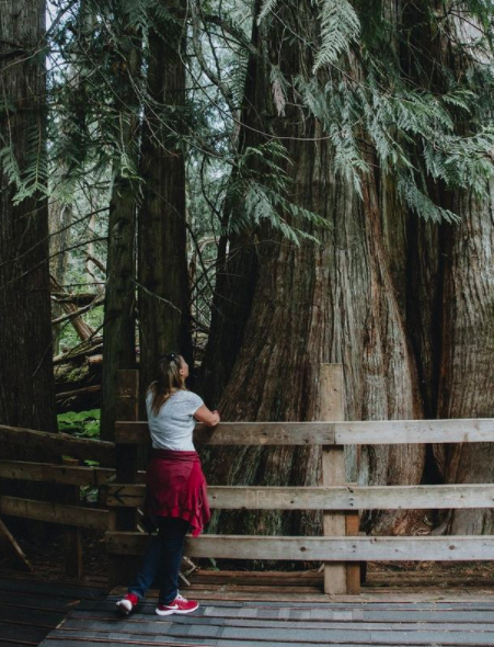 The Majesty of The North: The Road to Prince George