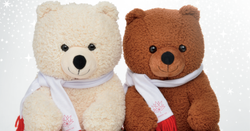 Share-a-Bear campaign returns to liquor stores across B.C.