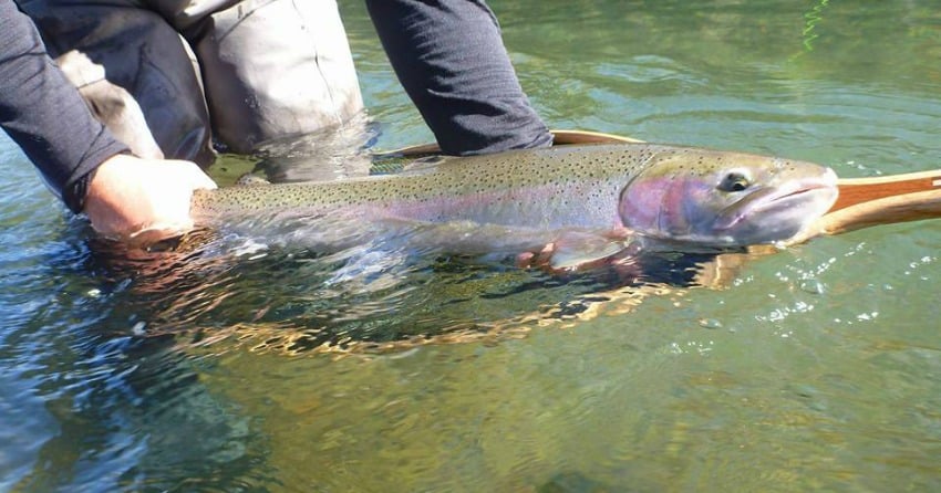 7 fishing holes in the Okanagan