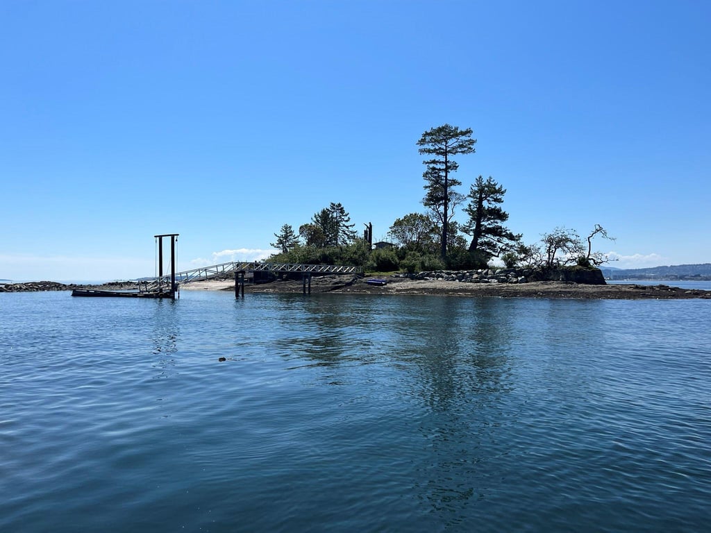 ‘Most affordable private island’ in the Gulf Islands listed for $1.37M