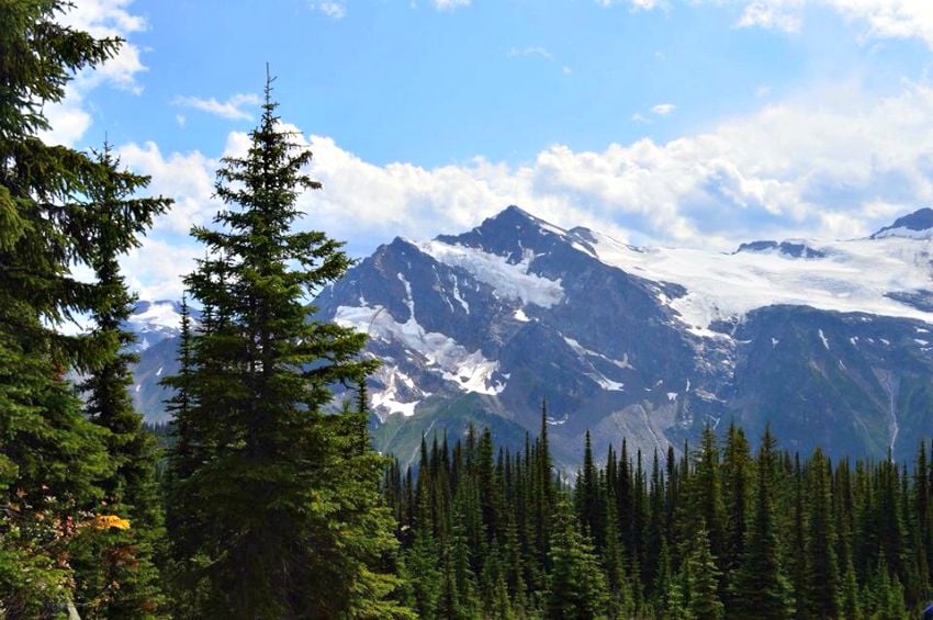 Fantastic Hike to the Top of Mount Macpherson Summit
