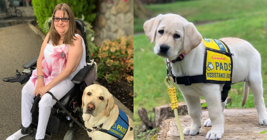 Kelowna woman and her service dog are raising funds for Pacific ...