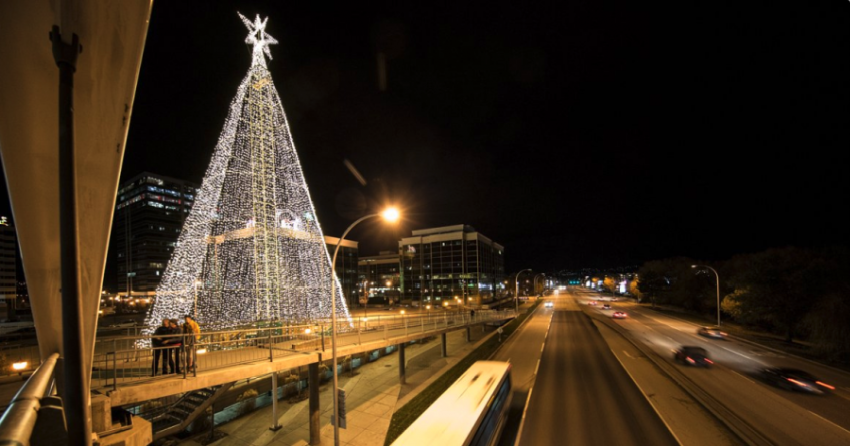 Tree of Hope raised $400K for the Karis Support Society and Now Canada