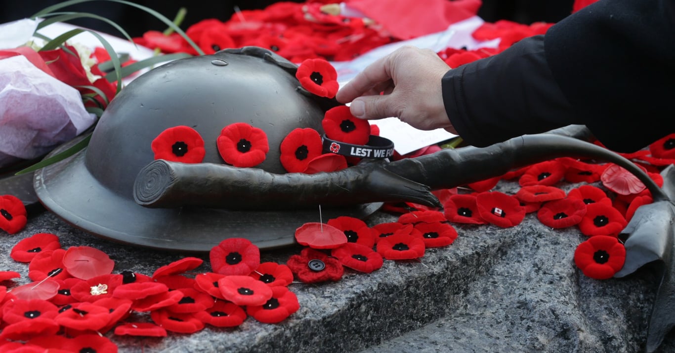 The Remembrance Day poppy has entered the digital age