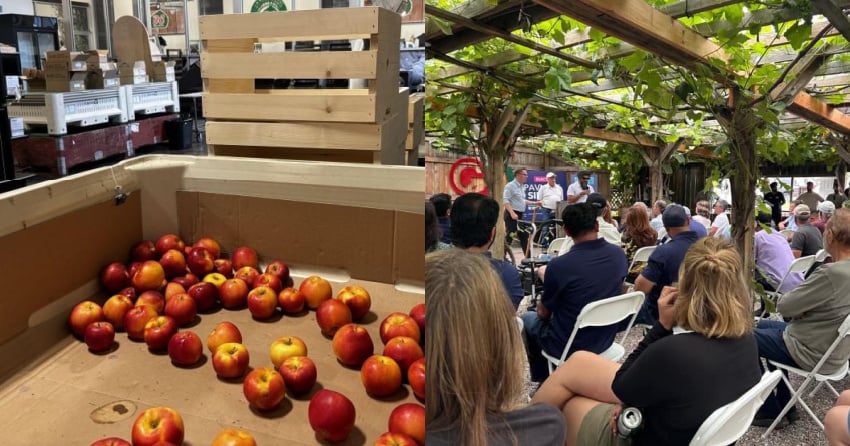 BC United says NDP ‘must step up’ in wake of sudden BC Tree Fruits closure