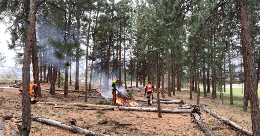 Westbank First Nation will be doing an 18 ha planned burn in southeast ...