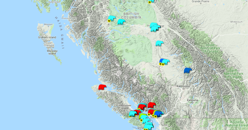 Interactive map shows you where wild animals have been sighted around BC