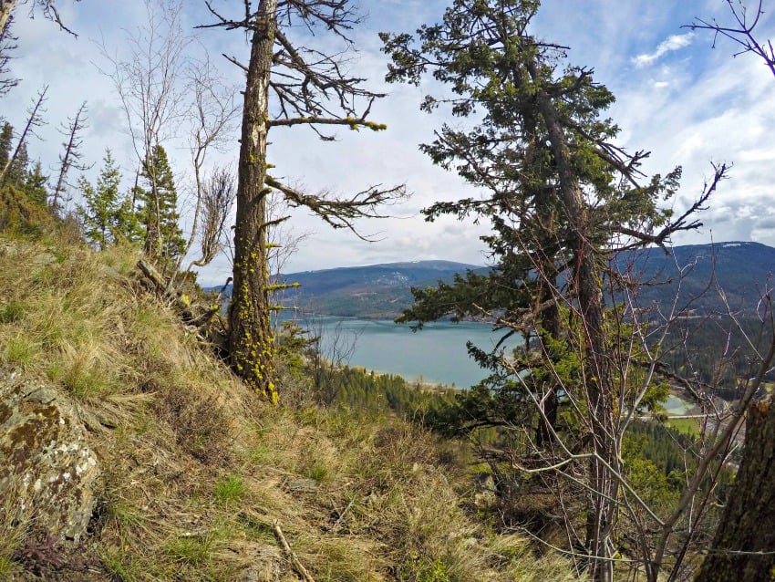 One-of-a-kind view at White Lake Lookout!