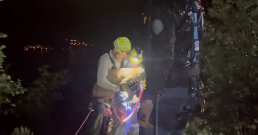 Busy Sunday night for COSAR included rescuing dog from cliff in ...