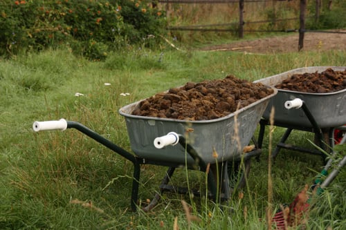 Composteren en fermenteren van paardenmest | Ukies.nl