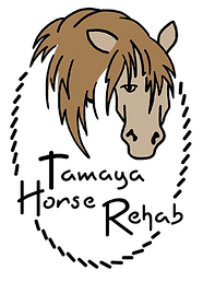 Events | Tamaya Horse Rescue and Rehab