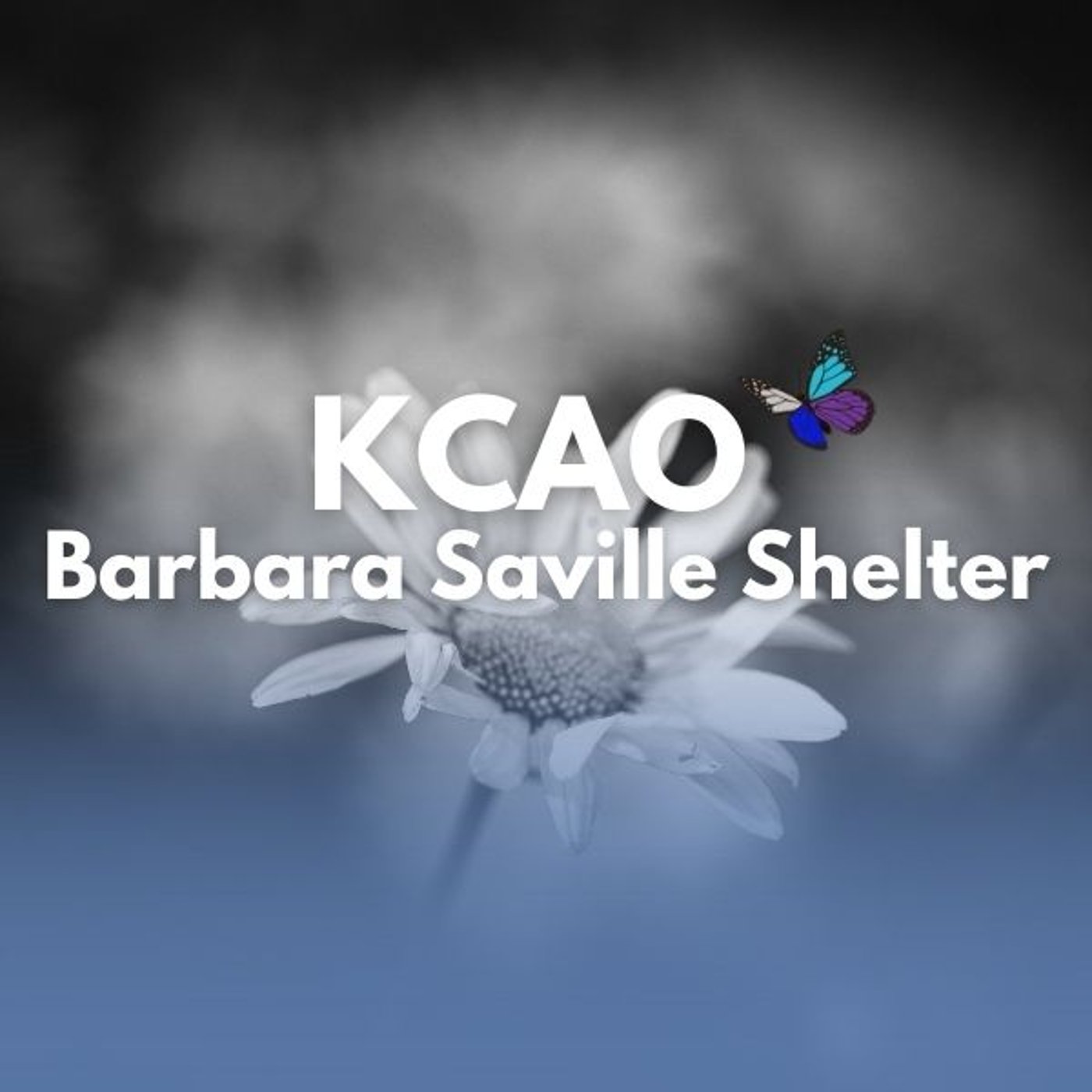 Organization | Kings Community Action Organization