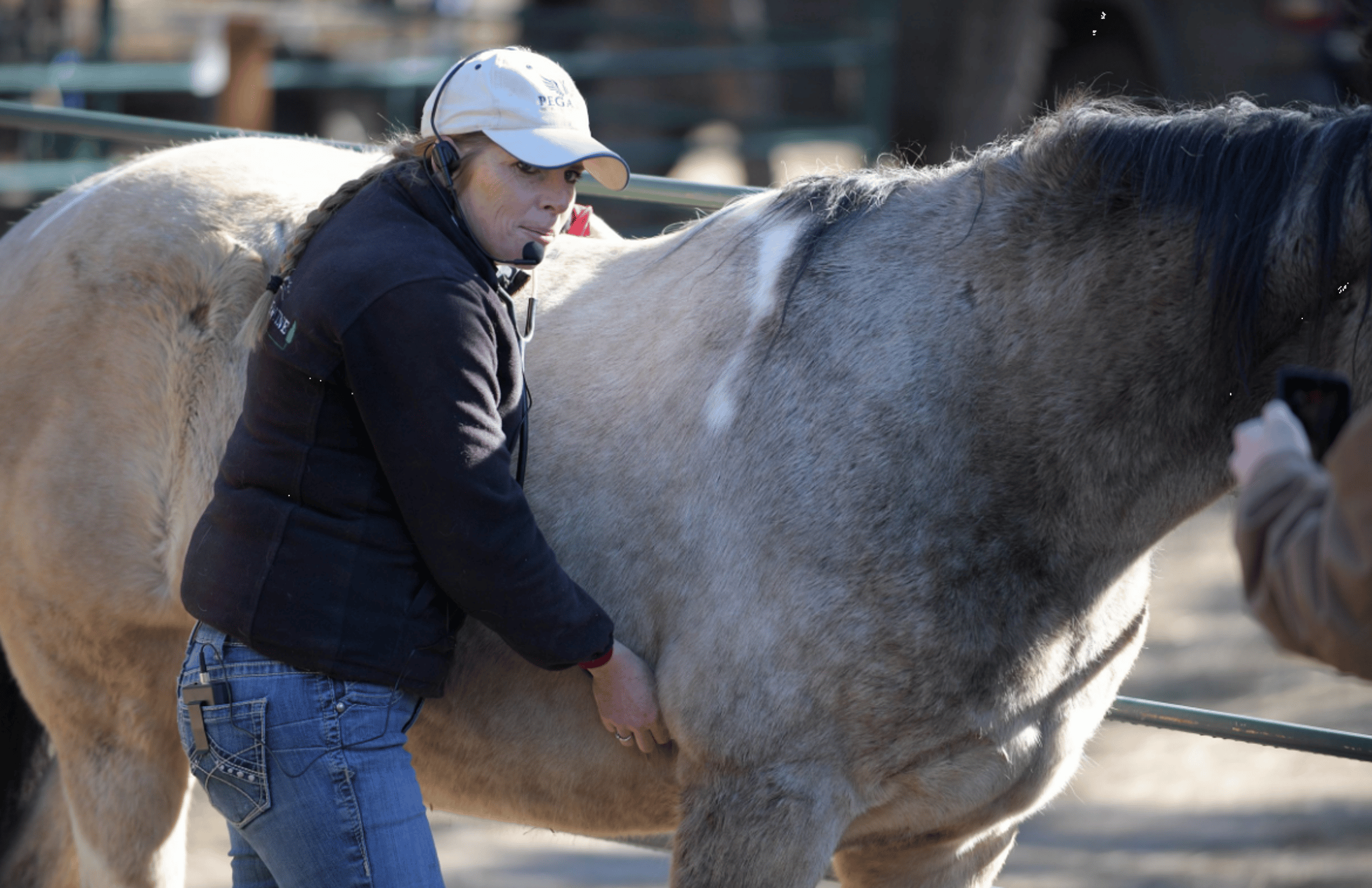 Equine First Aid | Elite Equine CO