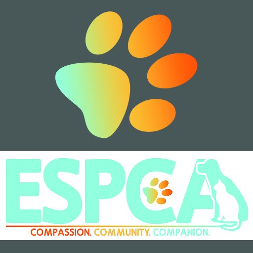 2025 Monthly Giving | Enid SPCA