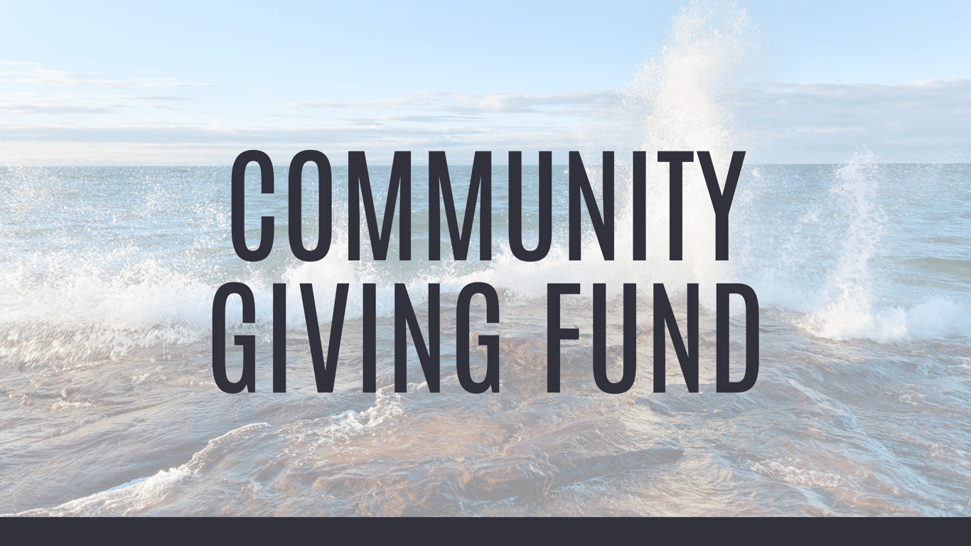 Donation Form | Head of the Lakes United Way