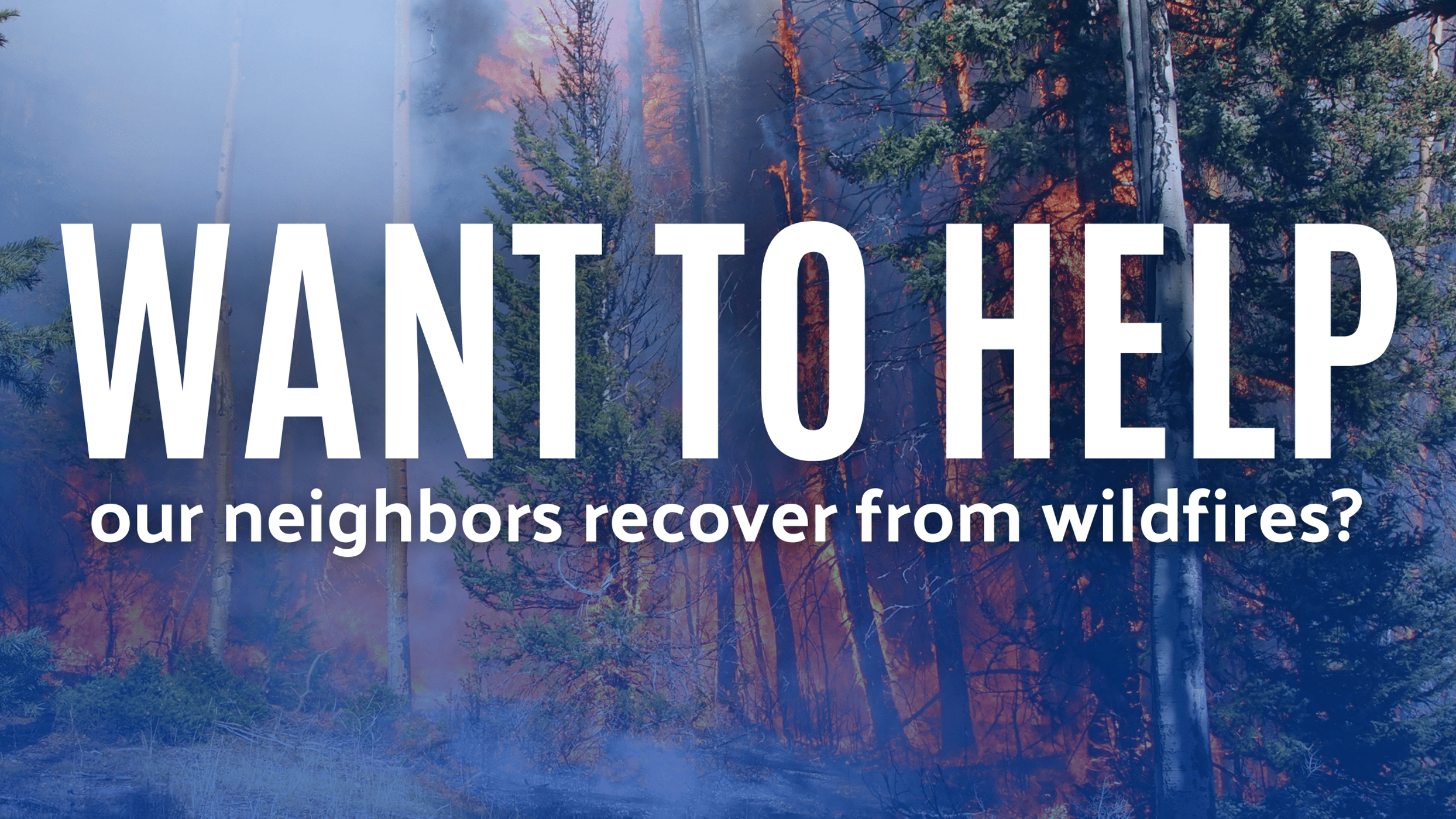 2025 Wildfire Recovery | United Way of Northeastern Minnesota