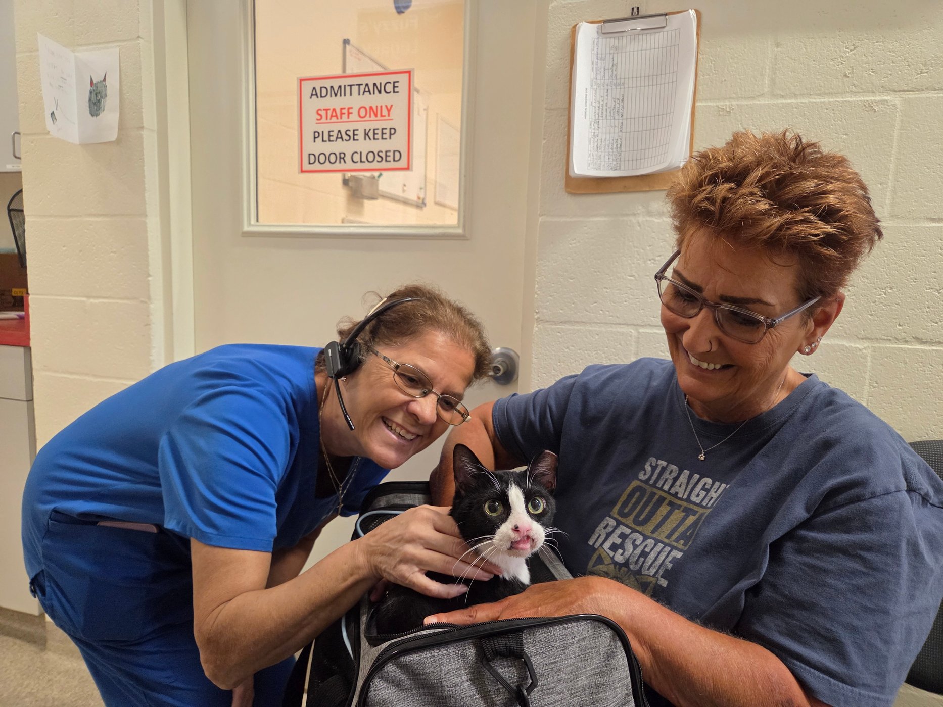 100 more cats and kittens saved so far this year | Cat Depot