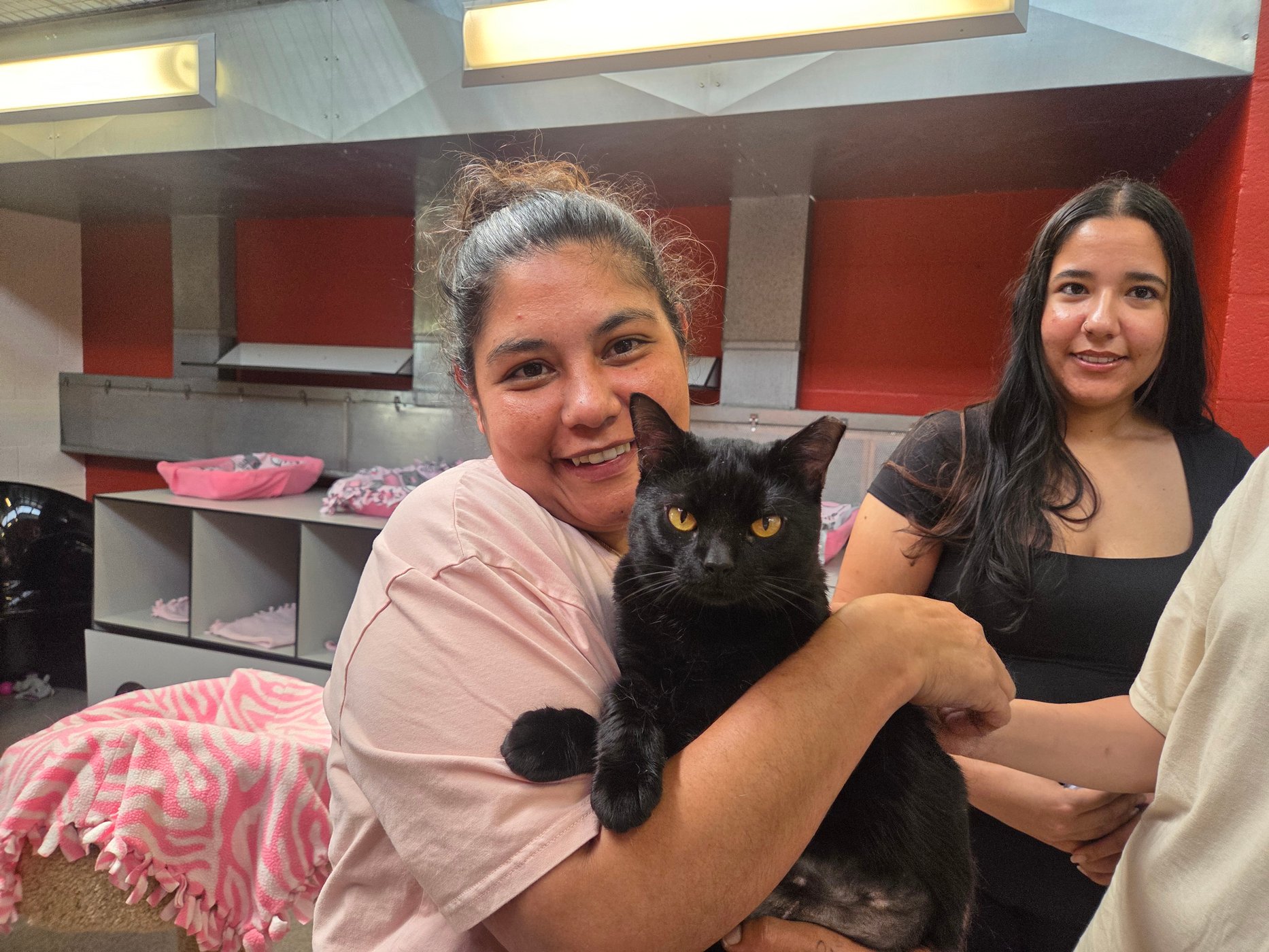 2025 Veterinary Assistance Fund | Cat Depot