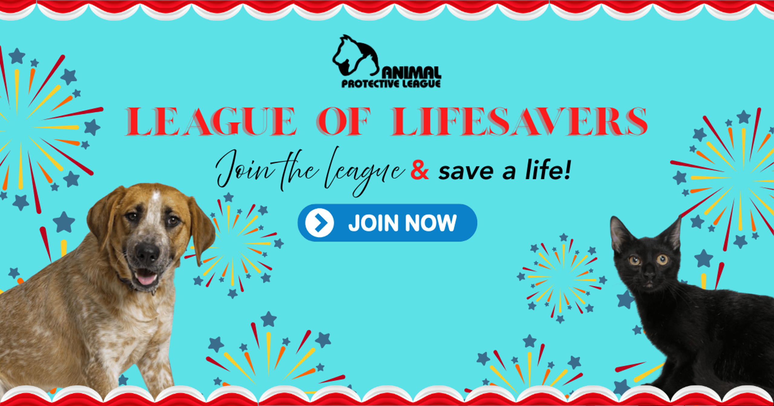 Campaigns | Animal Protective League