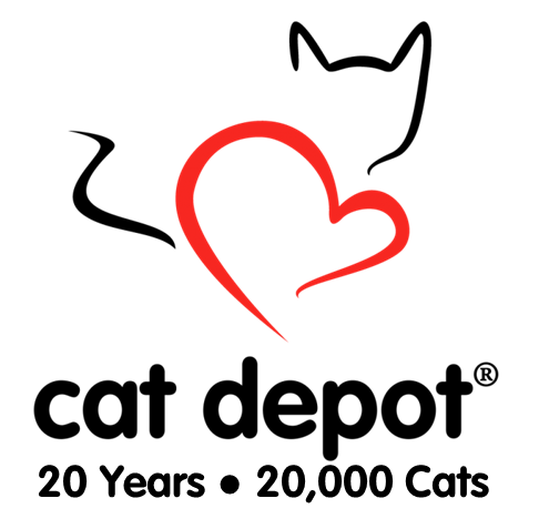 2025 Kitten Season | Cat Depot
