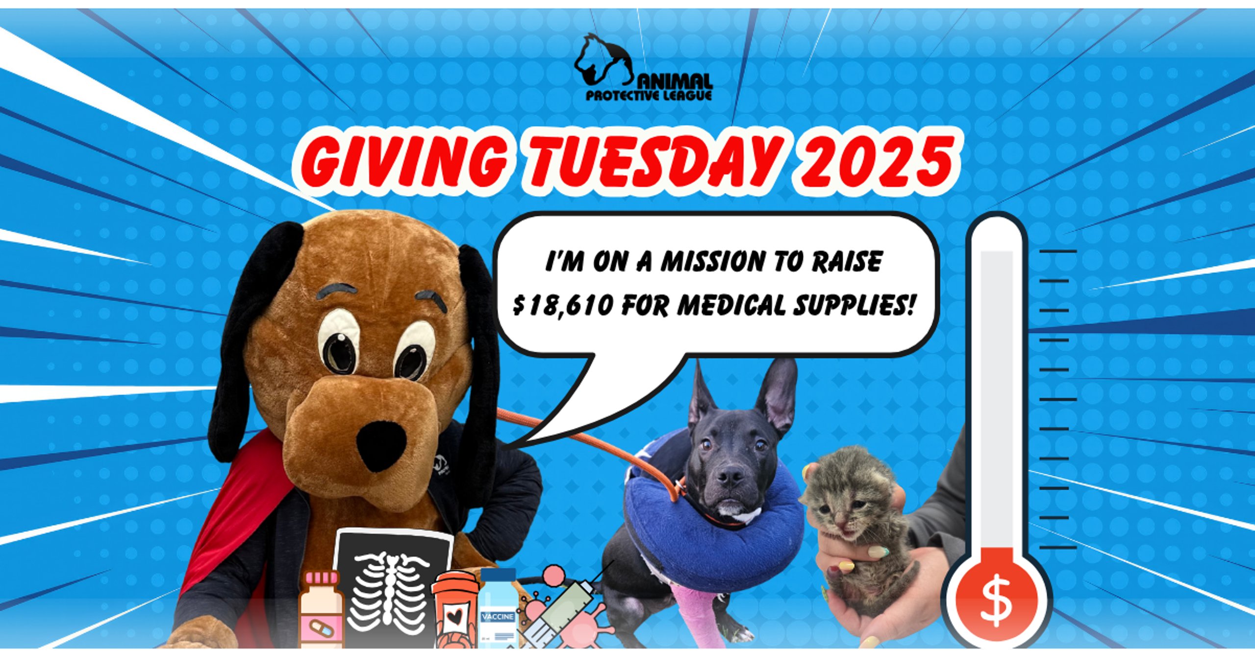 Giving Tuesday 2025 | Animal Protective League