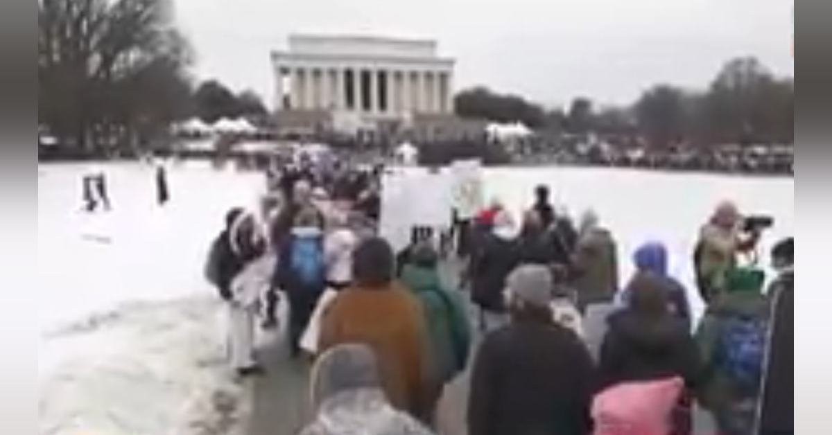Massive Protests In DC As World Waited For Trump To Take Office ...