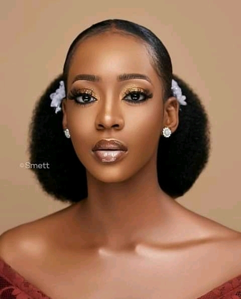 Visionary Writings - Book: The maid:bonolo