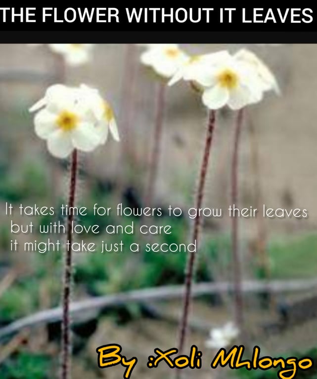 Visionary Writings - Book: The flower without it leaves