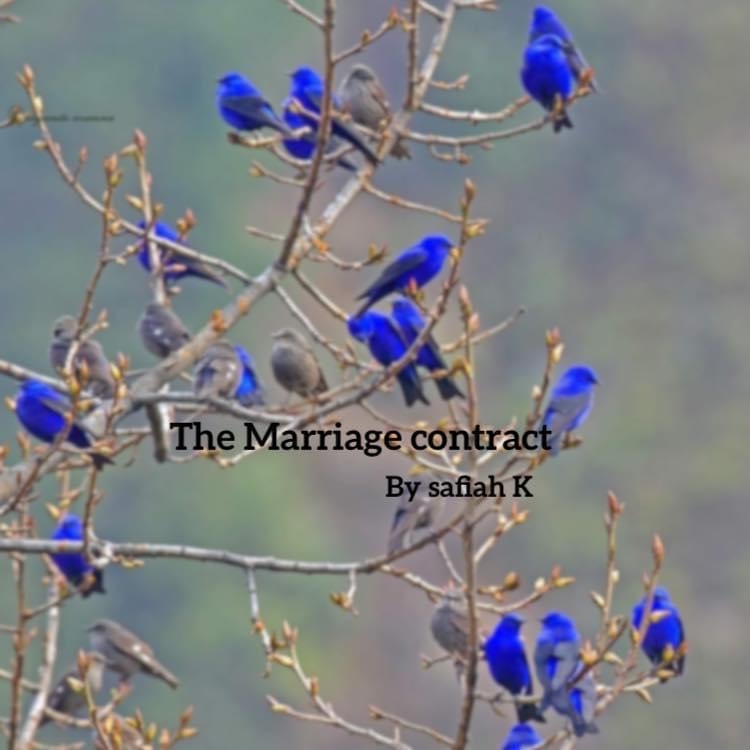 Visionary Writings - Book: The marriage contract
