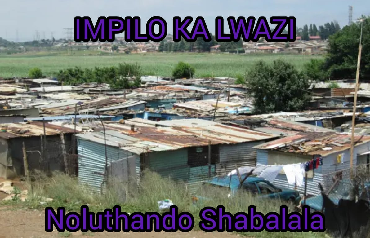 Visionary Writings - Author - Noluthando Shabalala