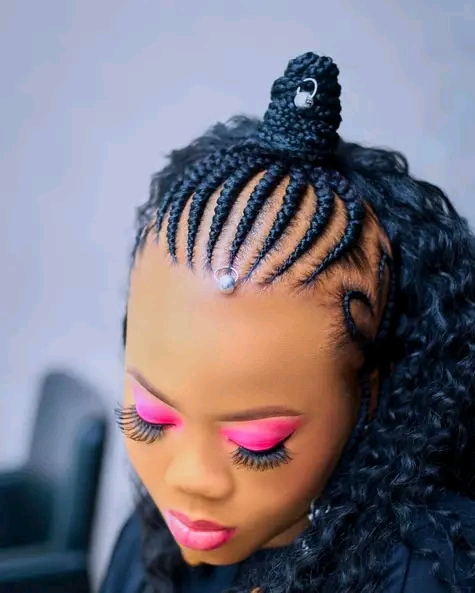 Visionary Writings - Book: Nozimanga