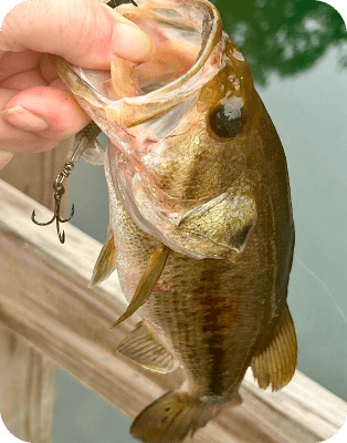 Fishbox - Your Fishing App