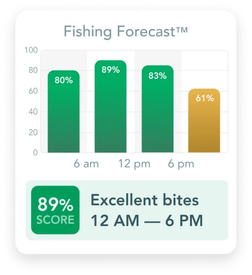 Fallfish: Fishing Regulations, Lures, Behavior, and Prime Locations