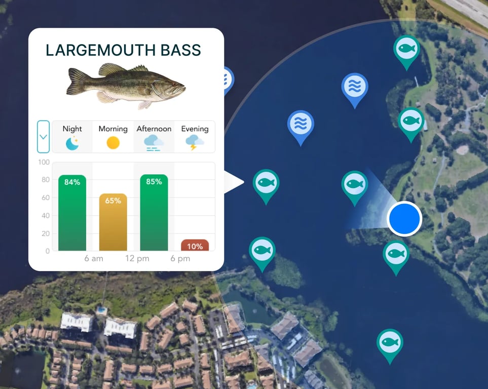 Choosing the Best Bait and Lures for Largemouth Bass Fishing