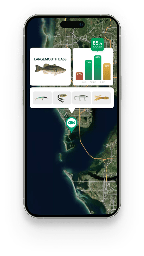 Catch More with Fishbox: Fishing Maps, Forecasts & Weather