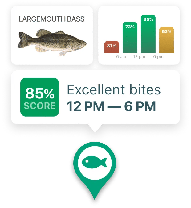 Your Guide to Oregon Fishing Seasons: Salmon, Trout, and More