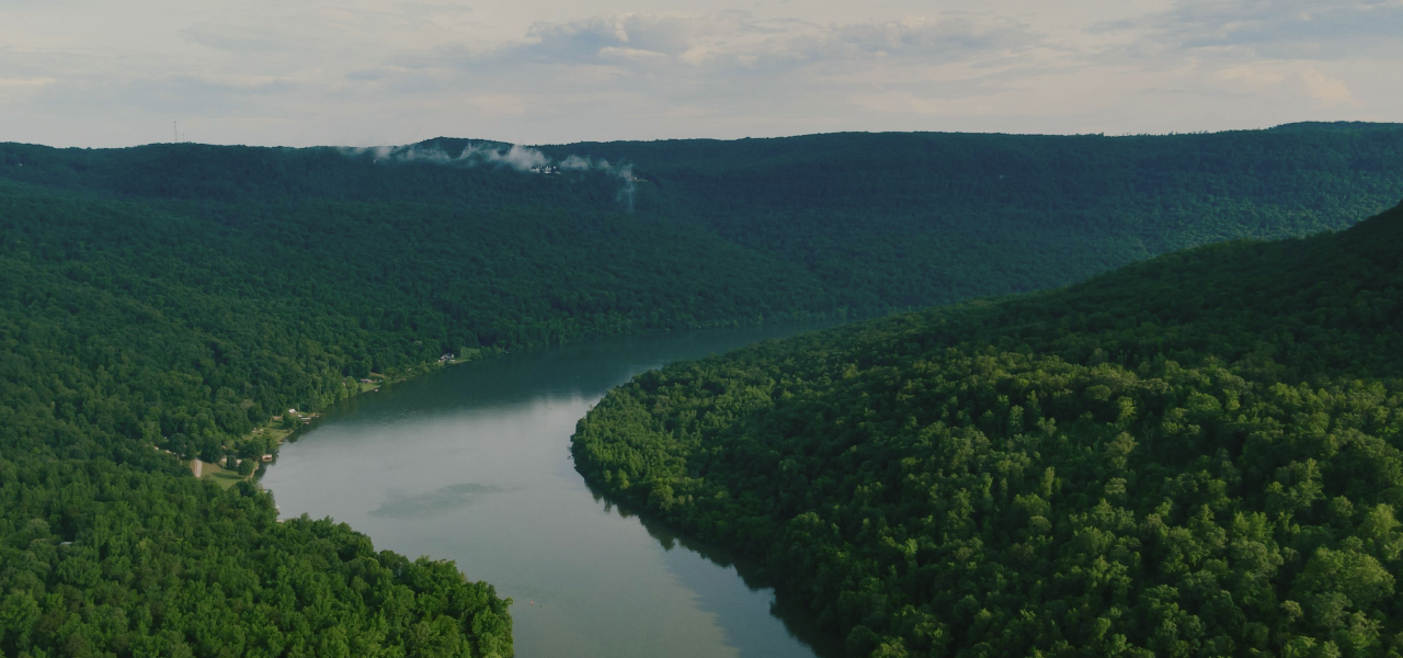 Weetaliba Creek Fishing Guide - Maps, Reports, and Tips