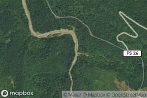 Chiselmouth: Fishing Regulations, Lures, Behavior, and Prime Locations