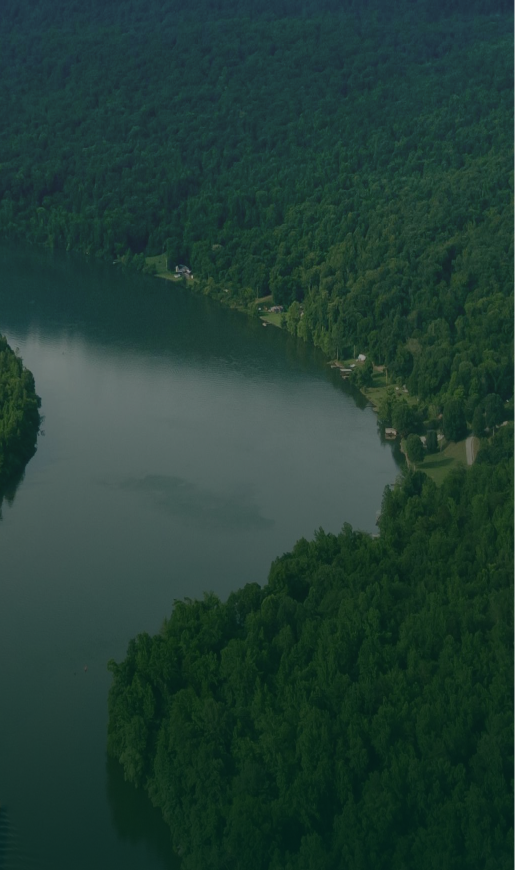 Ash Spring Fishing Guide - Maps, Reports, and Tips