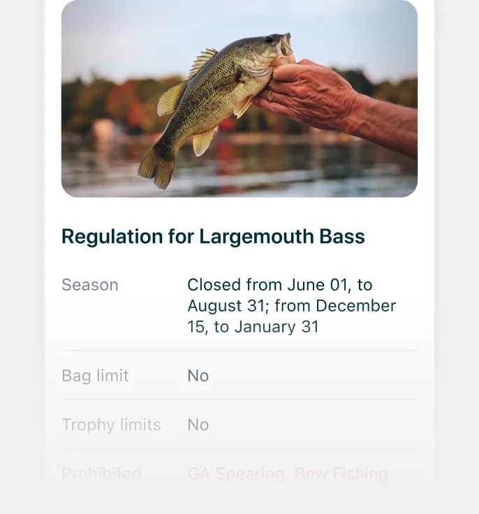 Culey Bay Fishing Guide - Maps, Reports, and Tips