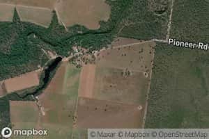 Grass emperor: Fishing Regulations, Lures, Behavior, and Prime Locations