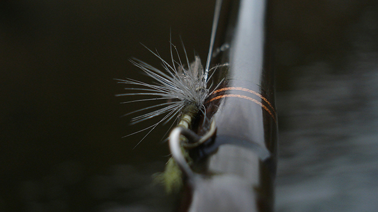 How to Fly Fish For Trout l Trout Fly Fishing Guide