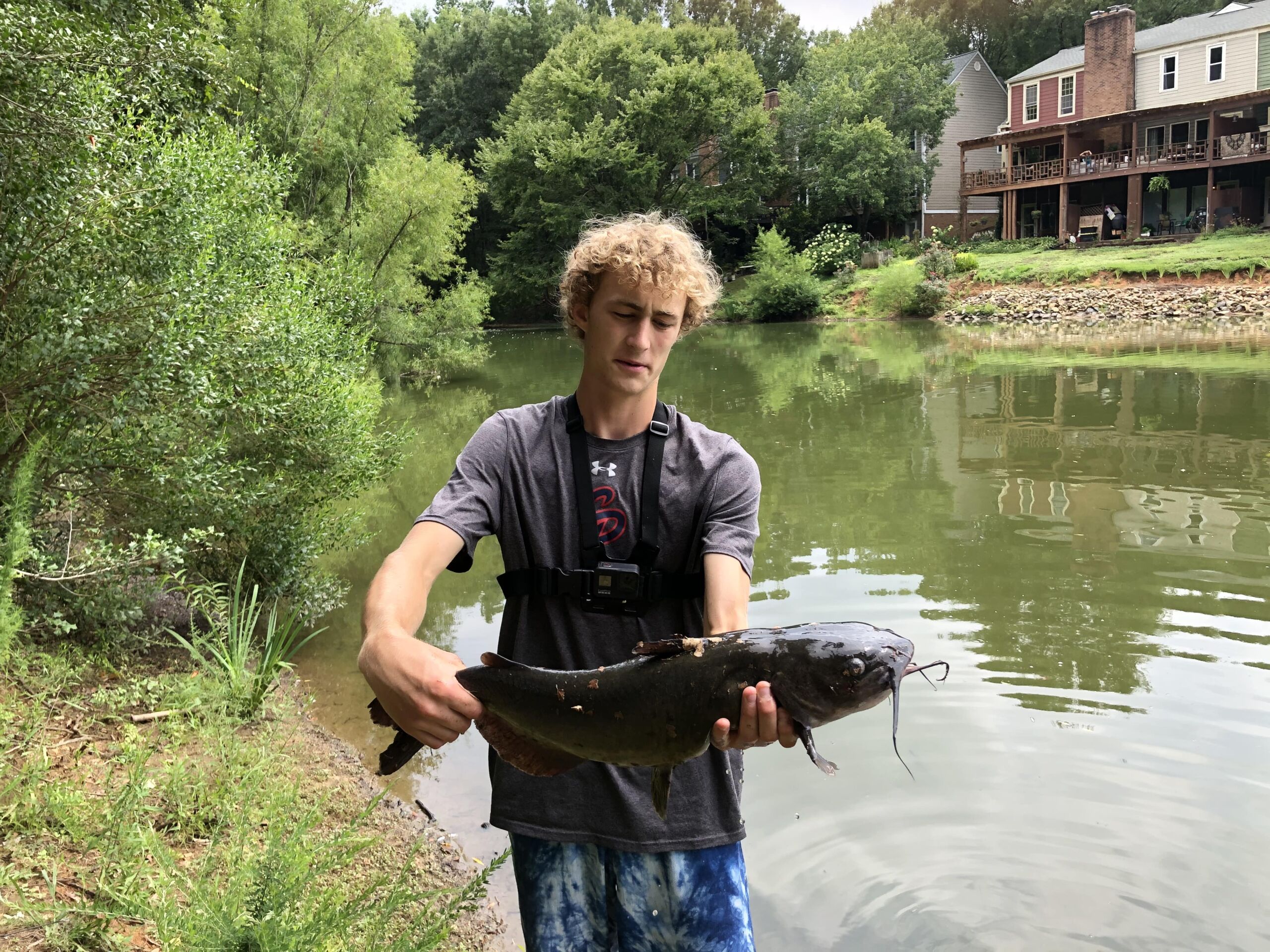 The Best Freshwater Bait for Successful Fishing | Expert Guide